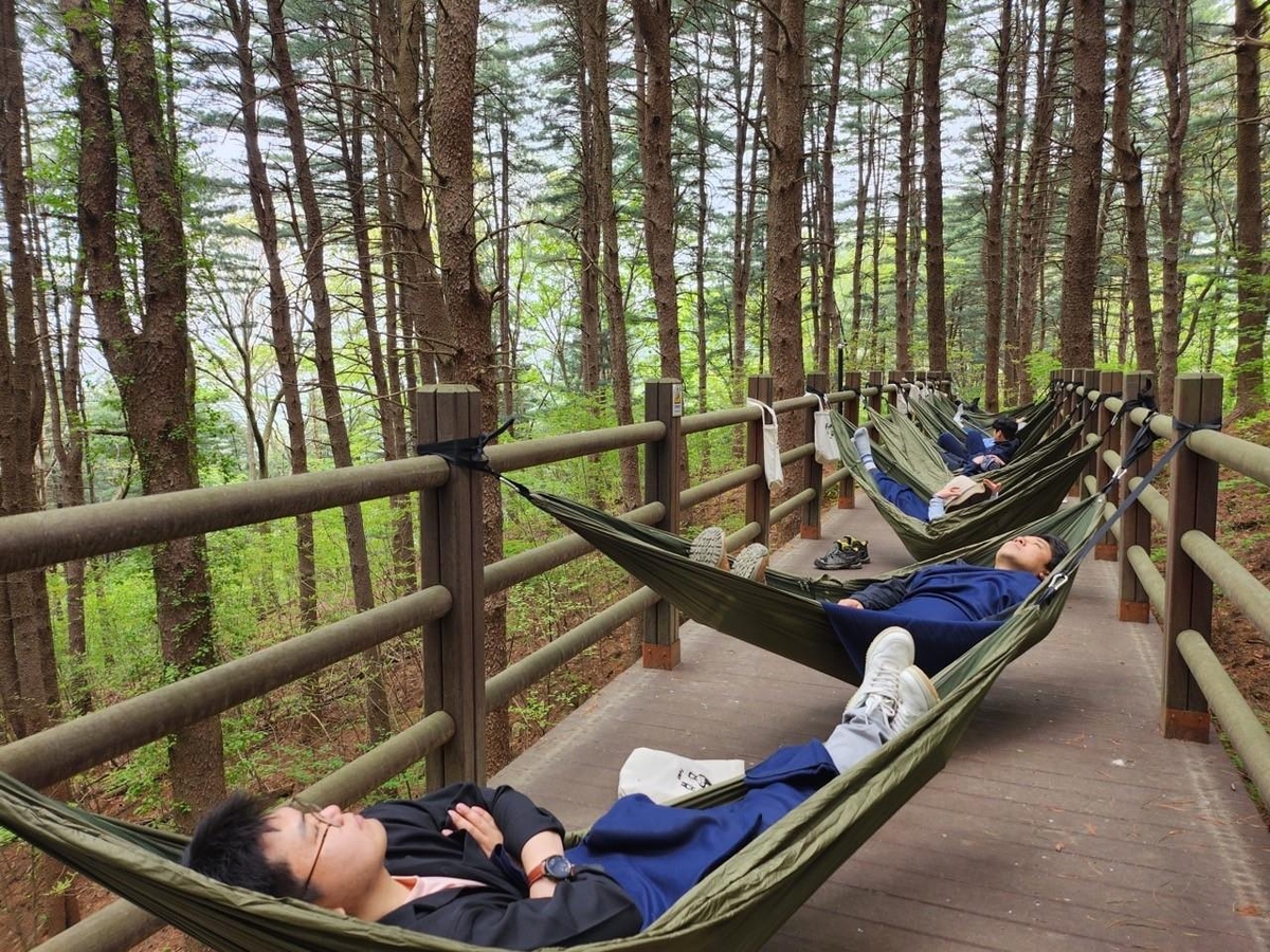 김천치유의 숲 교직원 심리회복 산림치유캠프 운영